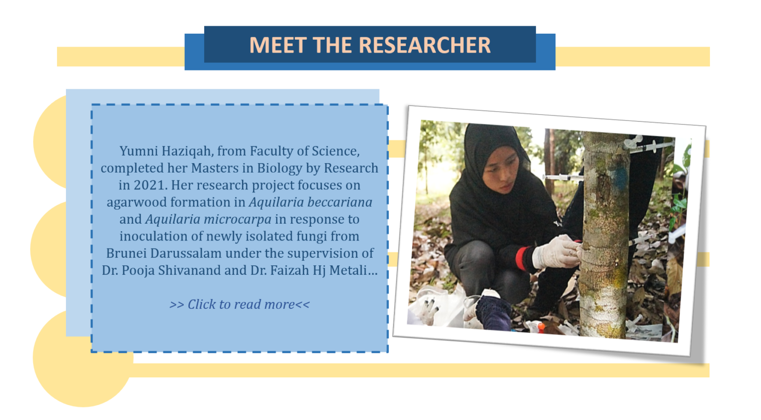 UBD HERBAL RESEARCH GROUP – An interdisciplinary Research Laboratory ...