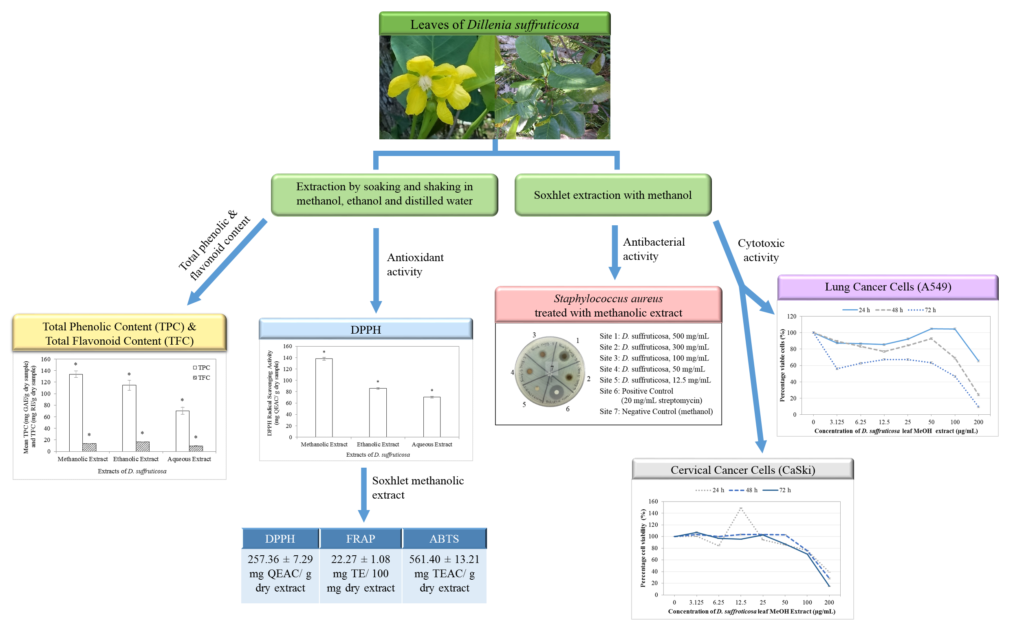 Publications – UBD HERBAL RESEARCH GROUP